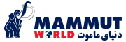 درباره شرکت دنیای ماموت | دنیای ماموت